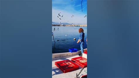 Faroz Limanı Youtube