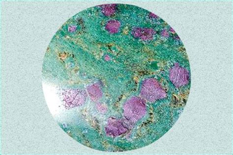 Ruby Fuchsite Meaning Healing Properties Benefits Color Power Facts Gemexi