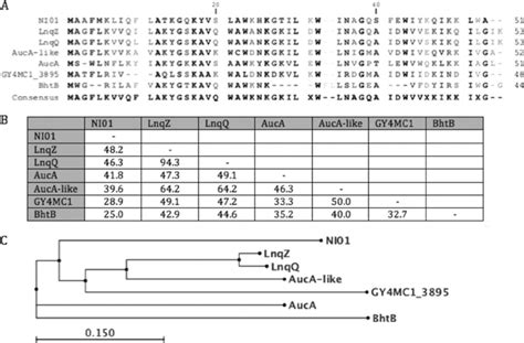 Clustalw Alignment Of Epidermicin Ni01 With Related Peptides A With