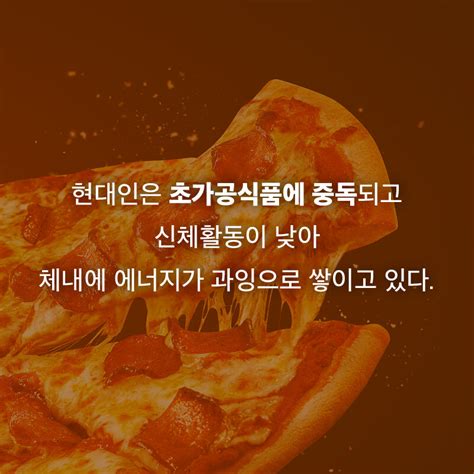 당신도 느리게 나이 들 수 있습니다 정희원 알라딘