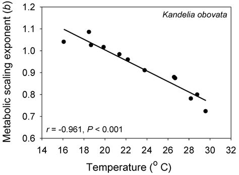 Systems Special Issue Allometric Scaling