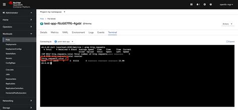 Custom Queries For Observability Using Grafana And Apis