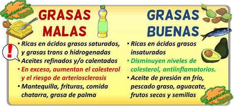 Grasas Buenas Y Grasas Malas Botanical Online