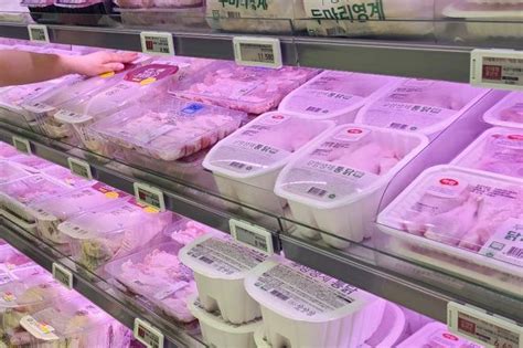 이마트 중복·휴가철 맞이 여름 먹거리 할인전 개최