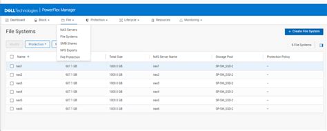 Configure Nas Servers Dell Validated Design For Sap Hana Tdi