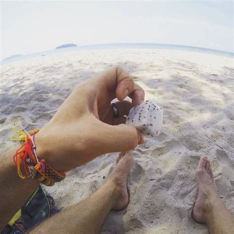 Florian Munteanus Feet