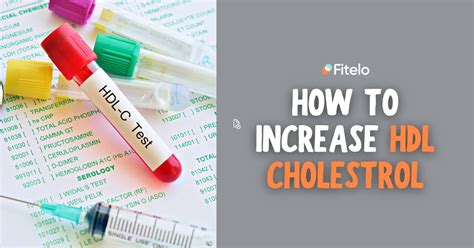 How To Increase HDL Cholesterol Effective Ways To Improve