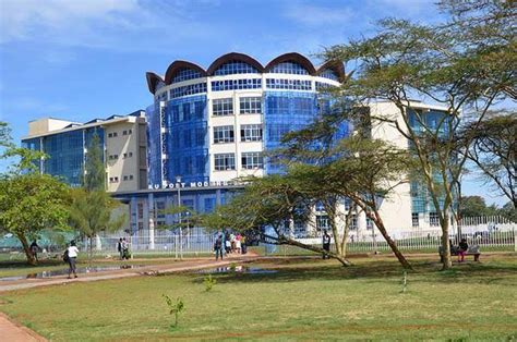 Top 10 Biggest Libraries In Africa 2025 Nubia Magazine
