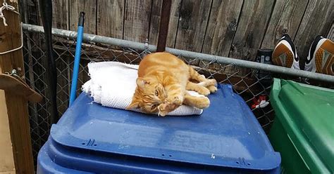 Monkas Album On Imgur