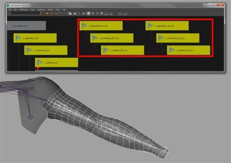 Rigging The Shoulders And The Arms CAVE Academy