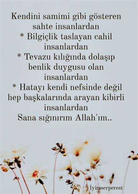 Dr Nuray Mercan Posted On Linkedin