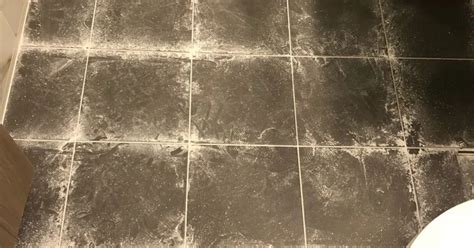 자리를 비웠어도 진행상황을 다 알려주셔서 너무 좋았어요~ 숨고 숨은고수