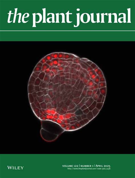 Time‐course Transcriptome And Chromatin Accessibility Analyses Reveal