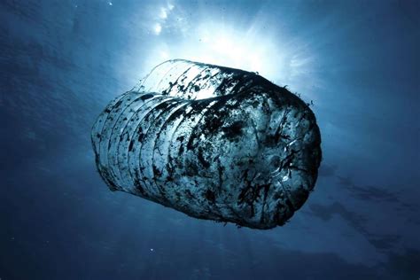 Different Types Of Plastic Waste SafeEnvironment