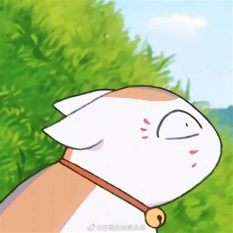 猫咪老师 堆糖美图壁纸兴趣社区