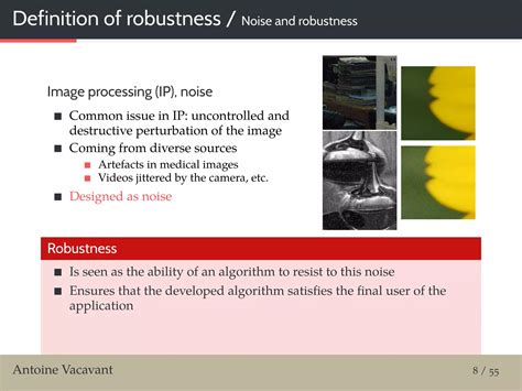 Robust Image Processing Algorithms Involving Tools From Digital Geometry And Mathematical