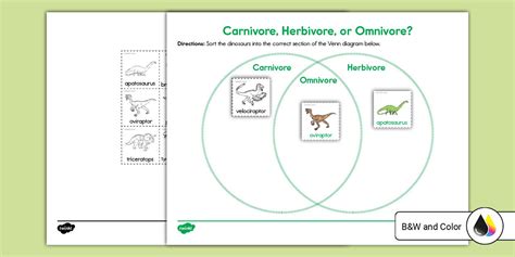 Dinosaurs Omnivore Carnivore Or Herbivore Sorting