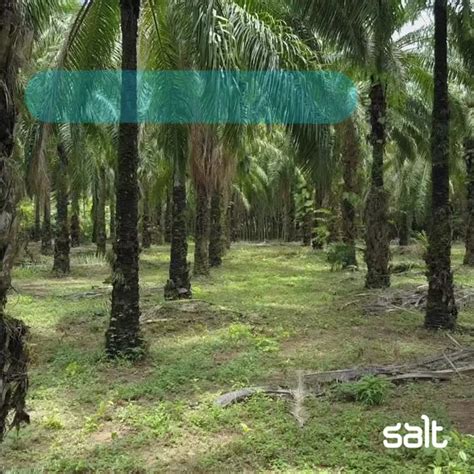 Anukaa Anne Mahendran On Linkedin Agrotechsaleslead