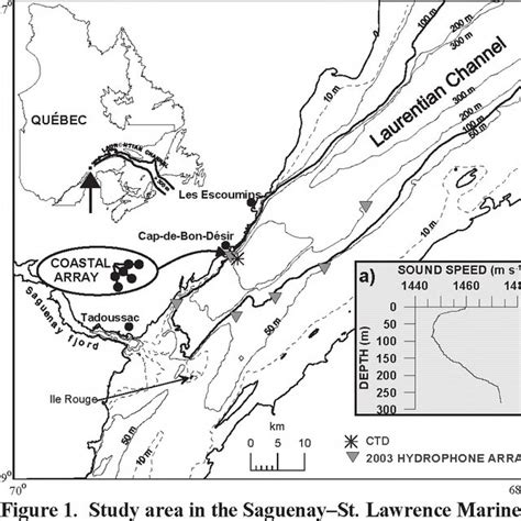 Binarized Image O F Spectrogram From A Fin Whale Series O F Calls From