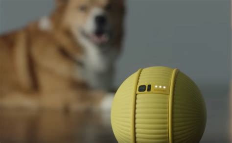 Samsung Lanza Ballie Su Robot Asistente Tan Adorable Como Bb 8