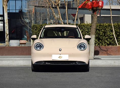 Gwm Ora Electric Beige Vehicle 5 Seat Electric Vehicle Gwm And Ora 5 Seat Car