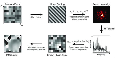 Phase Retrieval We Start By Dividing The Slm Into N × N Equal Regions