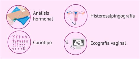 Examen De Sangre Hormonas Femeninas Descargar Video
