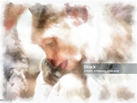 다양한 제스처로 원숭이의 얼굴 수채화 스타일 일러스트 인상파 그림 0명에 대한 스톡 벡터 아트 및 기타 이미지 0명 갈색 디자인 Istock