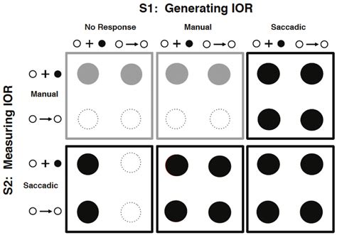10 Each Observer Was Tested In Each Of The Six Conditions On Separate