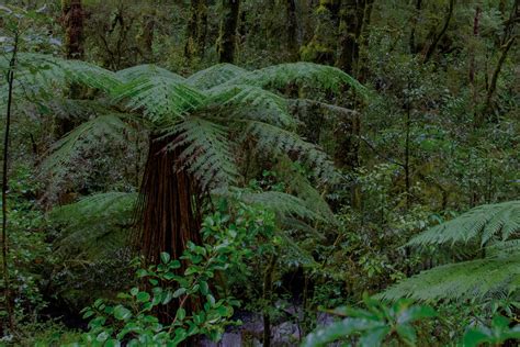 Protecting Indigenous Knowledge · Plant And Food Research