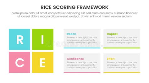 Rice Scoring Model Framework Prioritization Infographic With Rectangle Box Shape Information