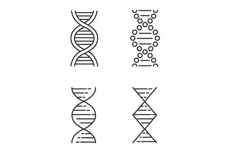 How To Draw Dna Really Easy Drawing Tutorial Artofit