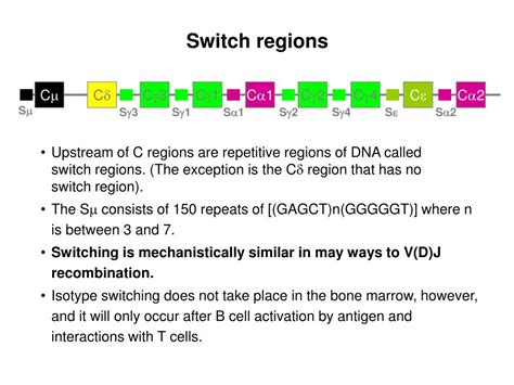 Ppt Isotype Switch Powerpoint Presentation Free Download Id 5972749