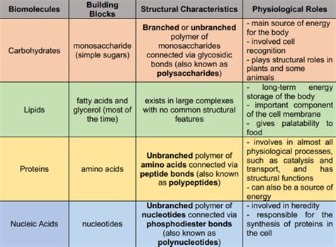 Biochemistry 1m Flashcards Quizlet