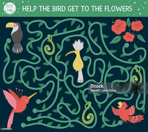 어린이를위한 열대 미로 유치원 이국적인 활동 귀여운 앵무새 후포와 큰부리새와 재미 정글 퍼즐 새가 꽃에 도착 도움이됩니다 아이들을위한 간단한 여름 게임 여름에 대한 스톡