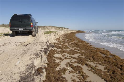 Sea Level Rise Ipcc Averages Extremes From Latest Publishing And Ice