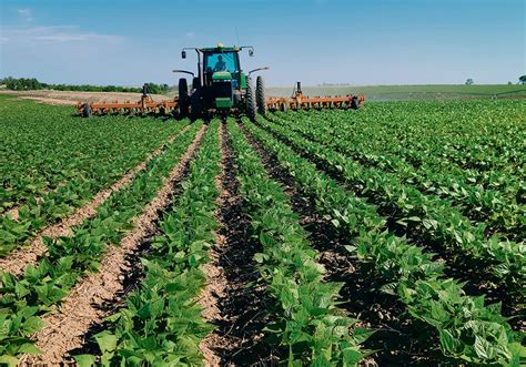 Irrigated Dry Beans Can Fit Sask Rotations The Western Producer