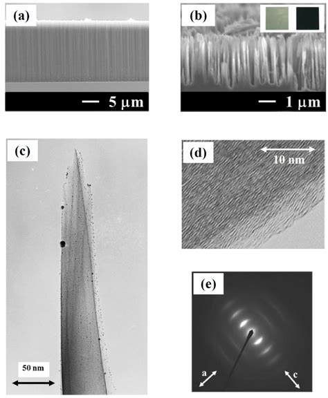 A Scanning Electron Microscopy Image Of A Vertically Aligned Carbon Download Scientific