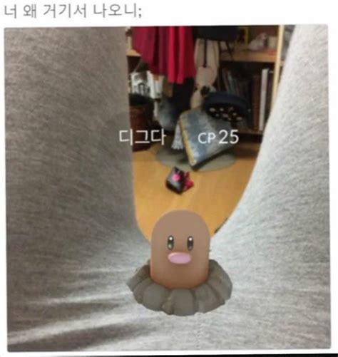 포켓몬 고 대참사 유머 움짤 이슈 에펨코리아