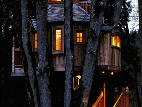 Treehouse Masters Babe 5 Things You Didn T Know About Treehouse