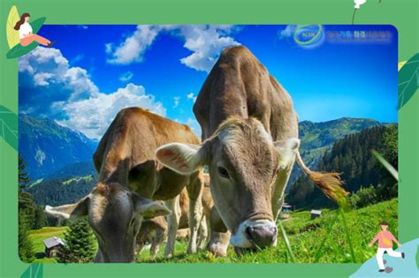 바나나껍질은 일반쓰레기 음식물쓰레기 버리는 법 알아봐요 네이버 블로그