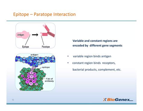 Basic Of Immunology Pdf