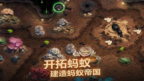 不知道这个帮助可以节约多少时间 小小蚁国 送极品蚂蚁 小米游戏中心