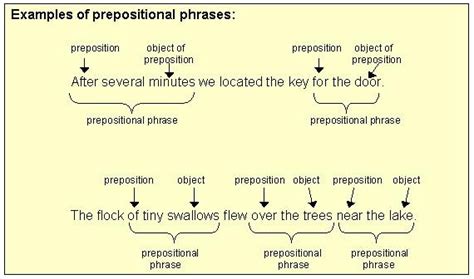What Are Prepositional Phrases
