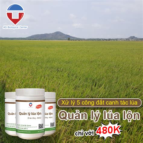 Cùng Nhà Nông Diệt Trừ Lúa Lộn Lúa Ma Lúa 2 Tầng Ho Chi Minh City