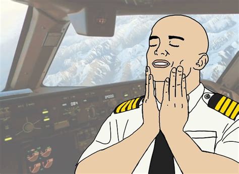 Autopilot And Chill In A Nutshell R Aviation