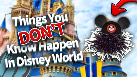 25 Incredible Things You Dont Know Happen In Disney World Youtube