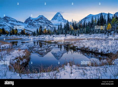 Lago Assiniboine Banque De Photographies Et Dimages à Haute Résolution
