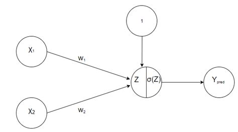 Illuminating Neural Networks Exploring Forward And Backward Passes With Graphviz By Hira