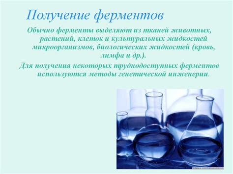 Ферменты. Что такое ферменты? - презентация онлайн